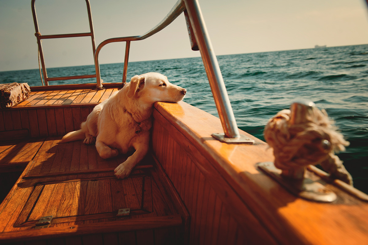 ¿Cómo es vivir en un barco? Pros y contras - Indomio News